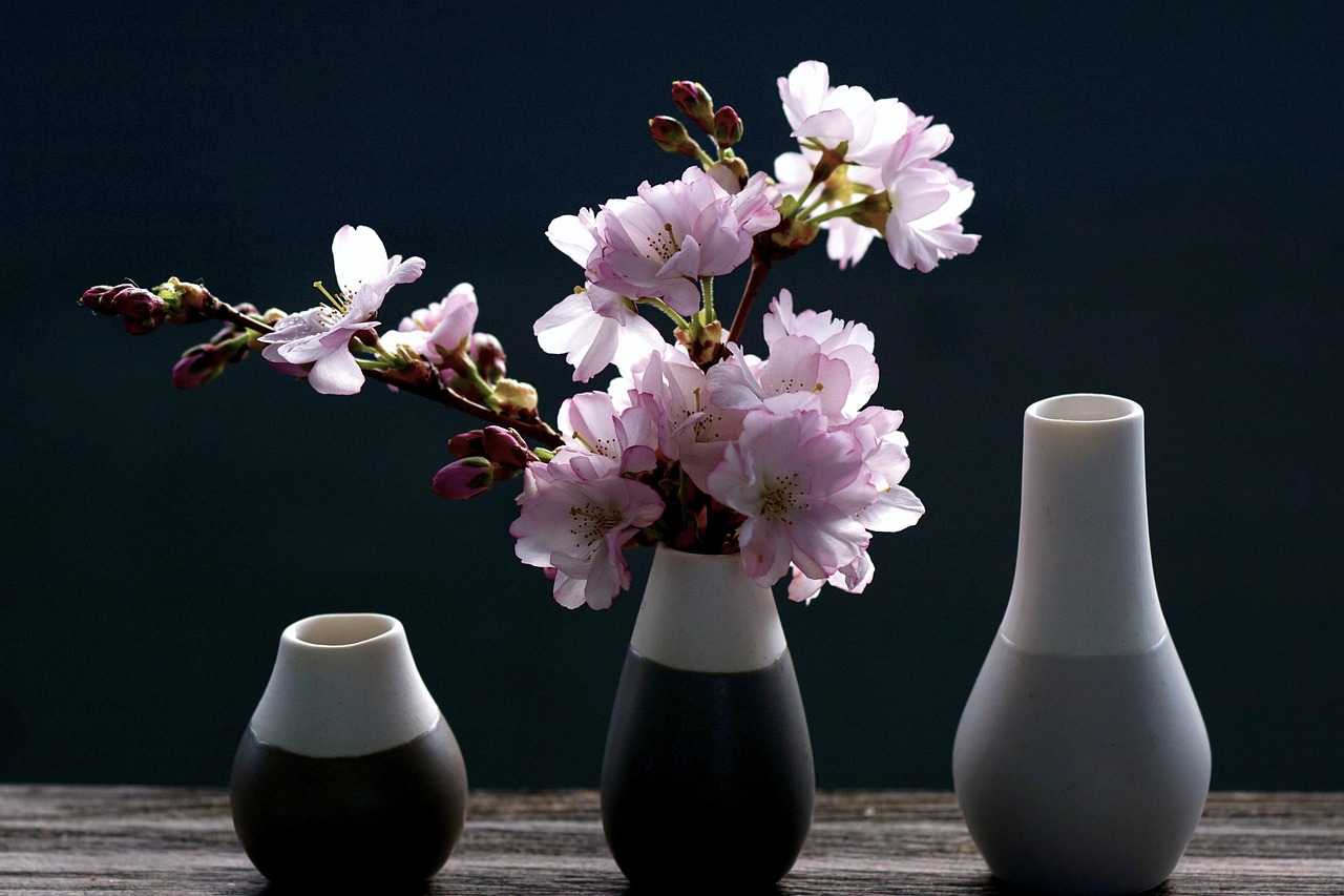 What Is Hanami? Japan’s Cherry Blossom Tradition, History, and Best ...